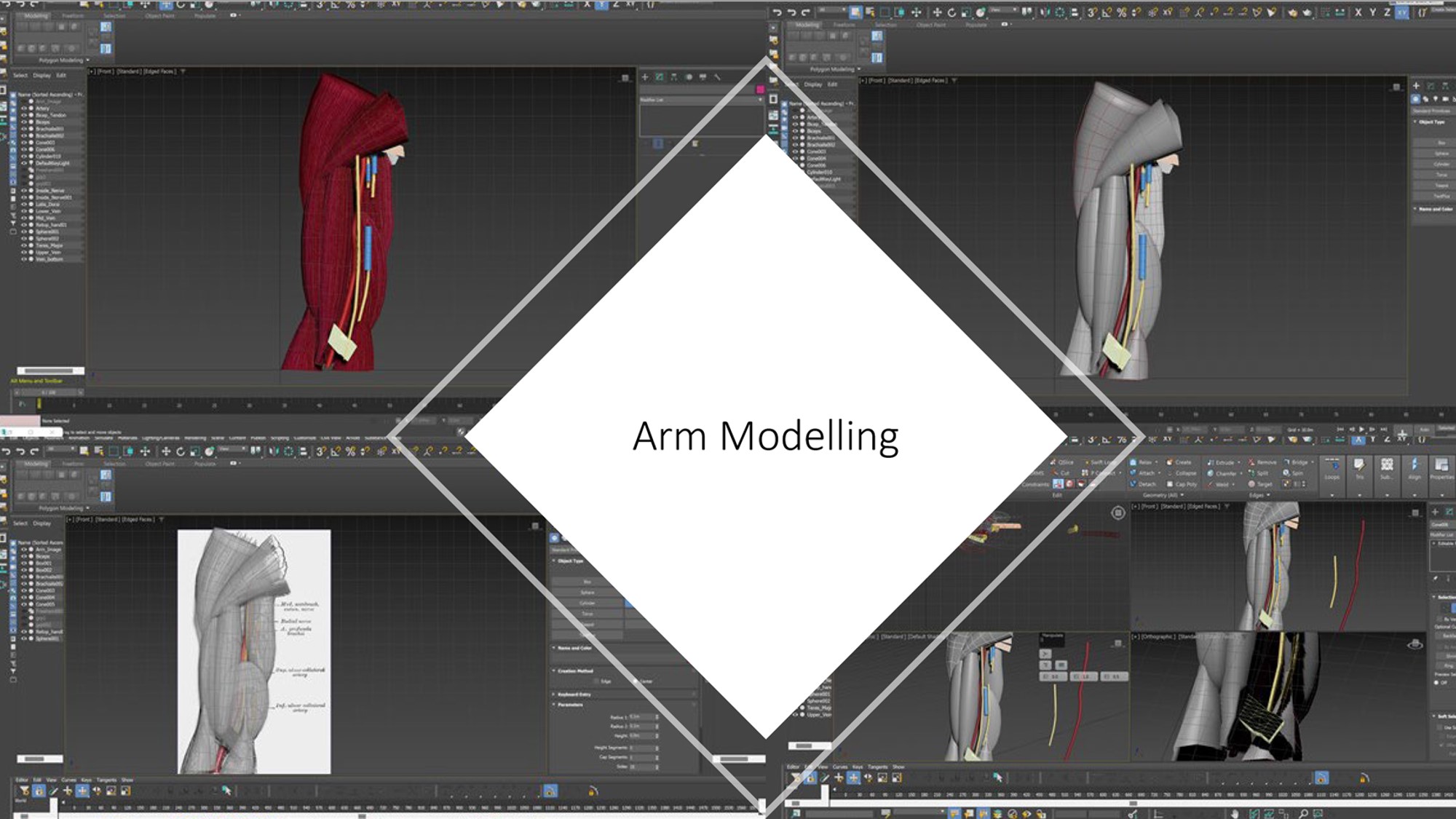 MSc Medical Visualisation & Human Anatomy – GSA Postgrad Showcase 2022