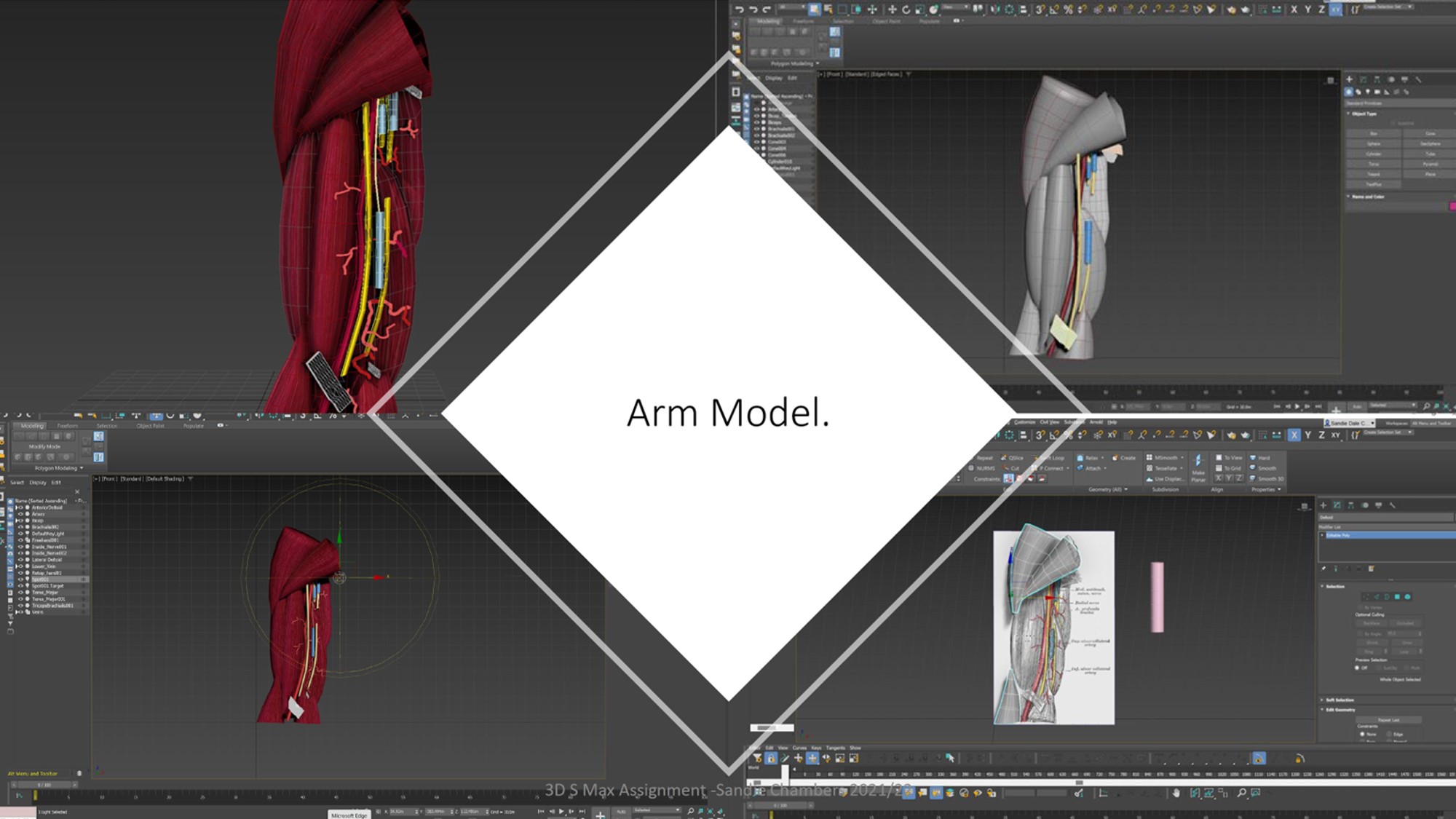 MSc Medical Visualisation & Human Anatomy – GSA Postgrad Showcase 2022